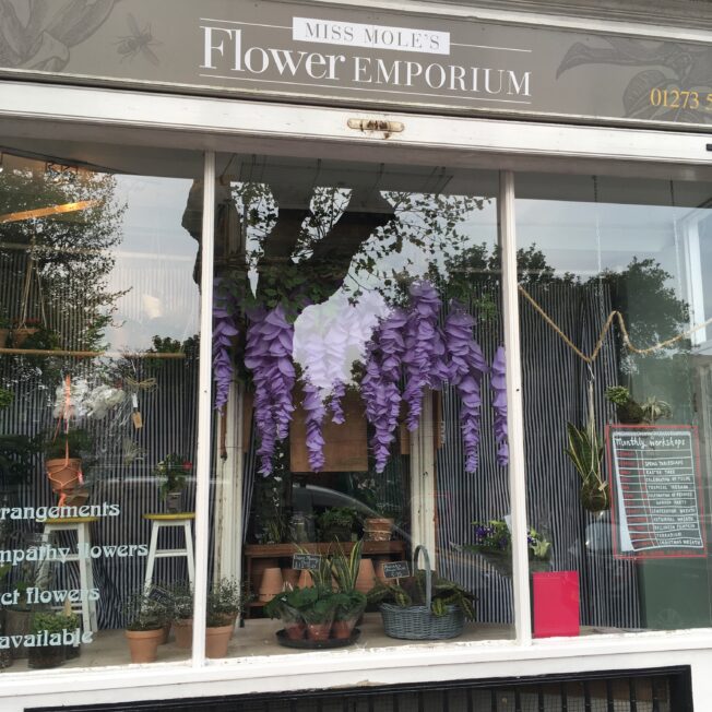 Wisteria hysteria. | Miss Mole's Flower Emporium