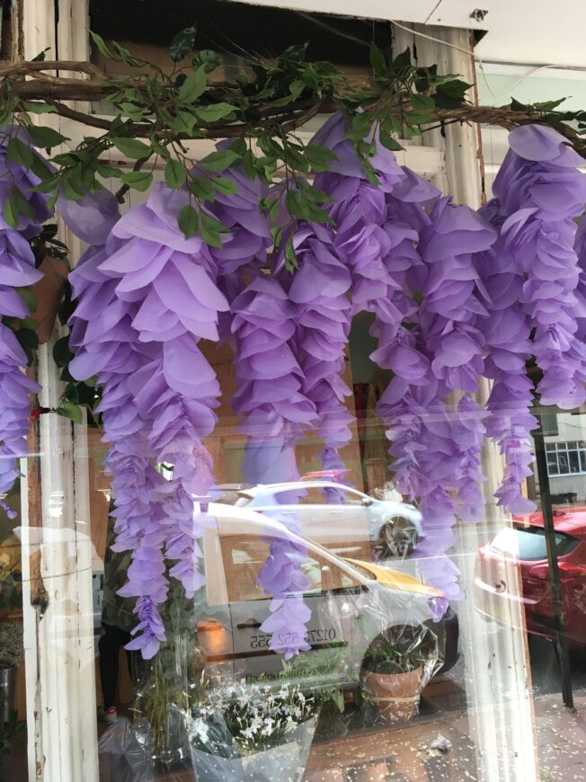 Wisteria hysteria. | Miss Mole's Flower Emporium